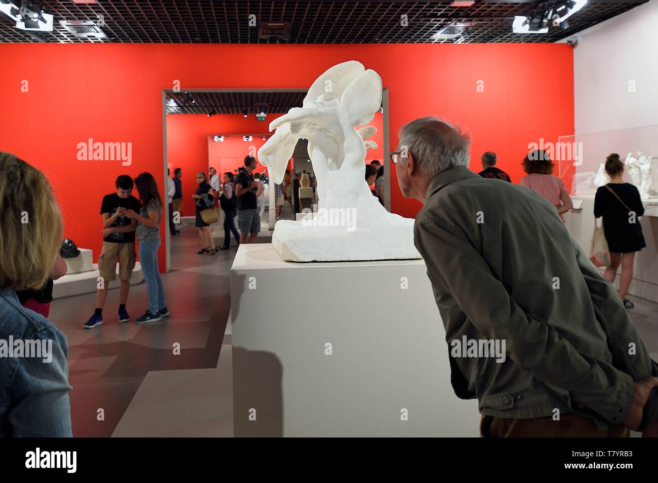 France, Paris, Grand Palais museum, exhibition of the centenary (of the ...