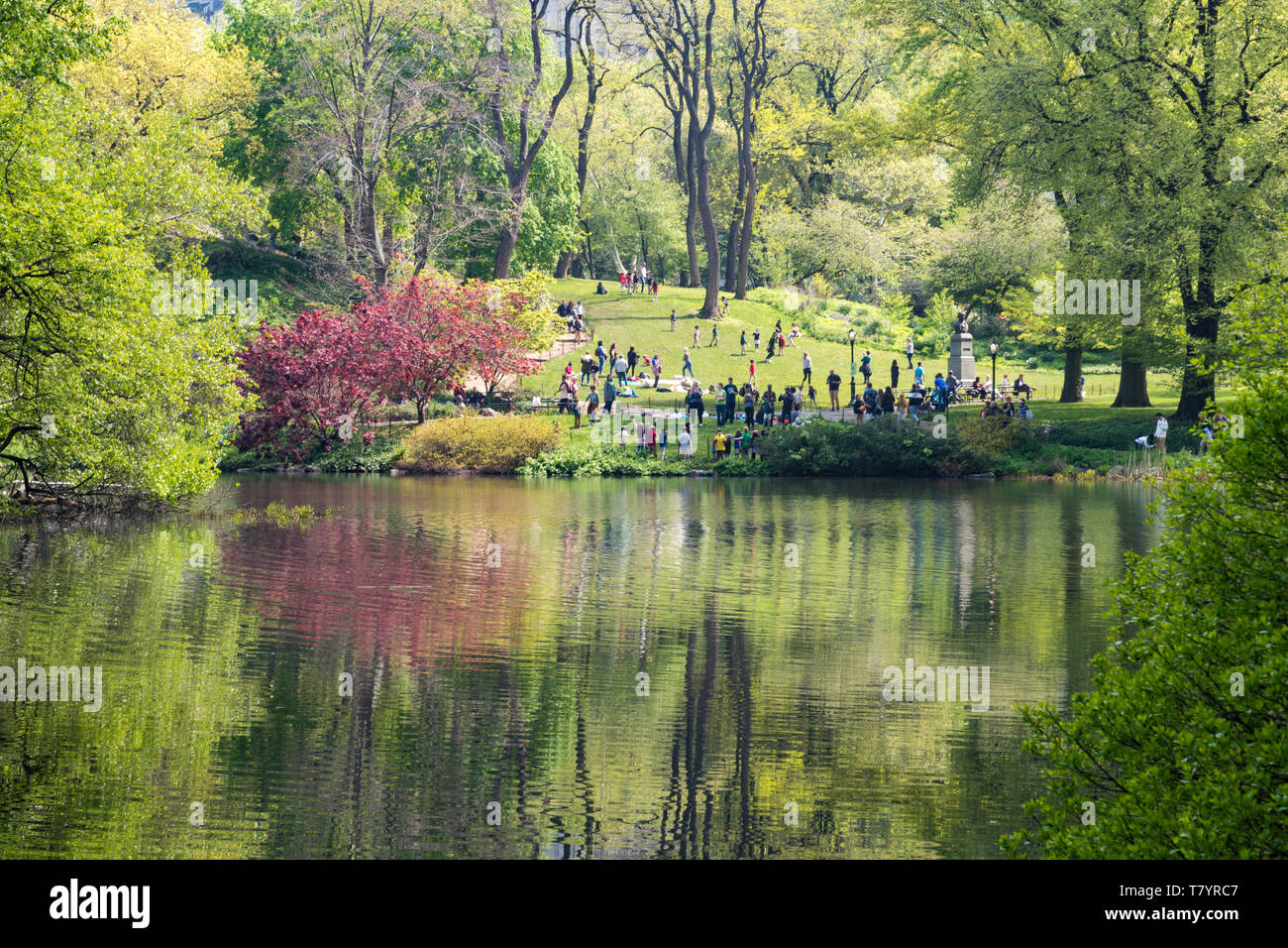 Nyc in spring hi-res stock photography and images - Alamy