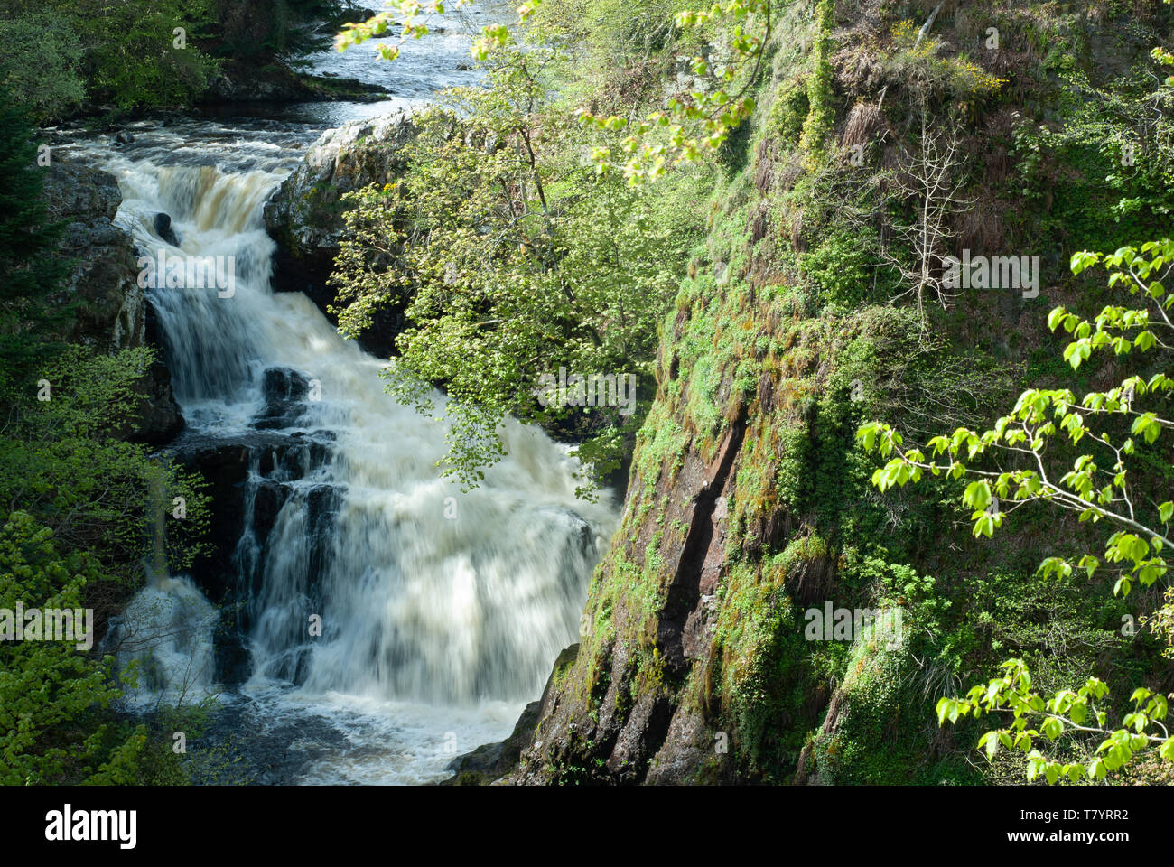 The Reekie Linn waterfall on the River Isla, Perthshire, Scotland, in ...