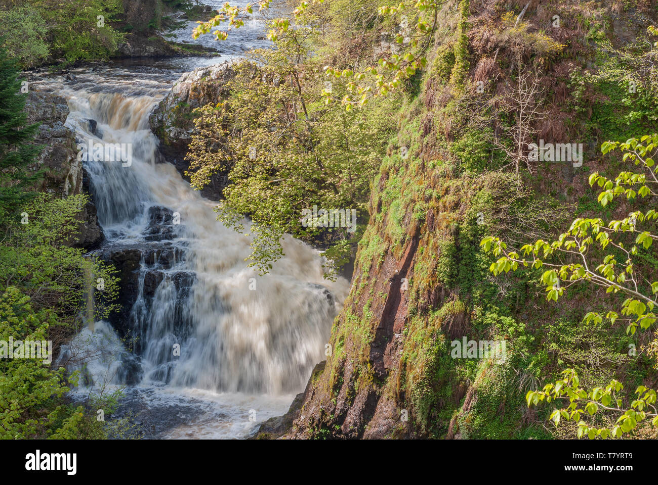 The Reekie Linn waterfall on the River Isla, Perthshire, Scotland, in ...