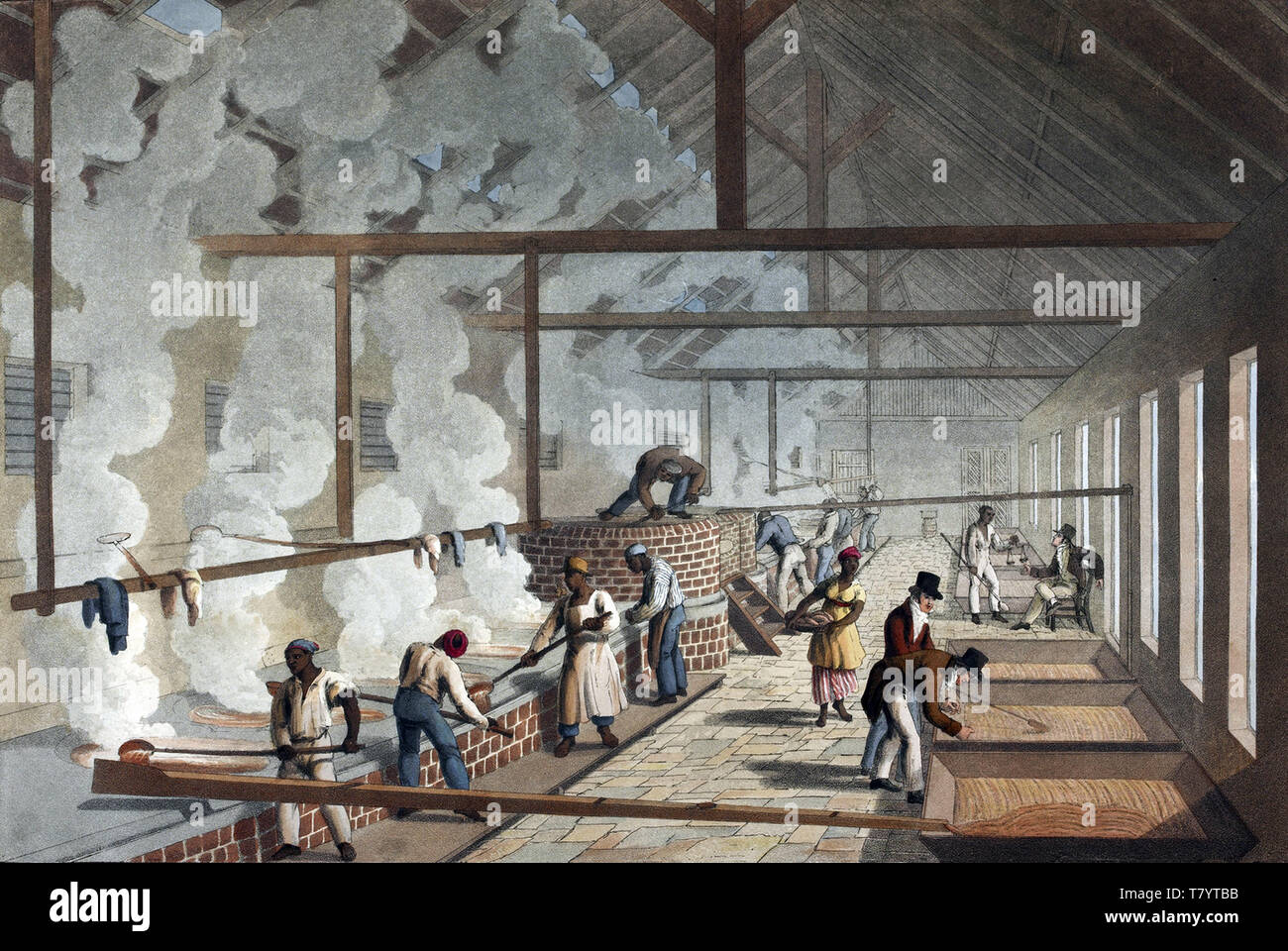 Sugar Cane Plantation Slaves