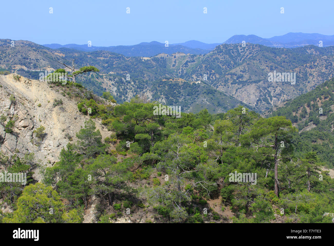 Panoramic view across Mount Olympus and the Troodos Mountains in Cyprus ...