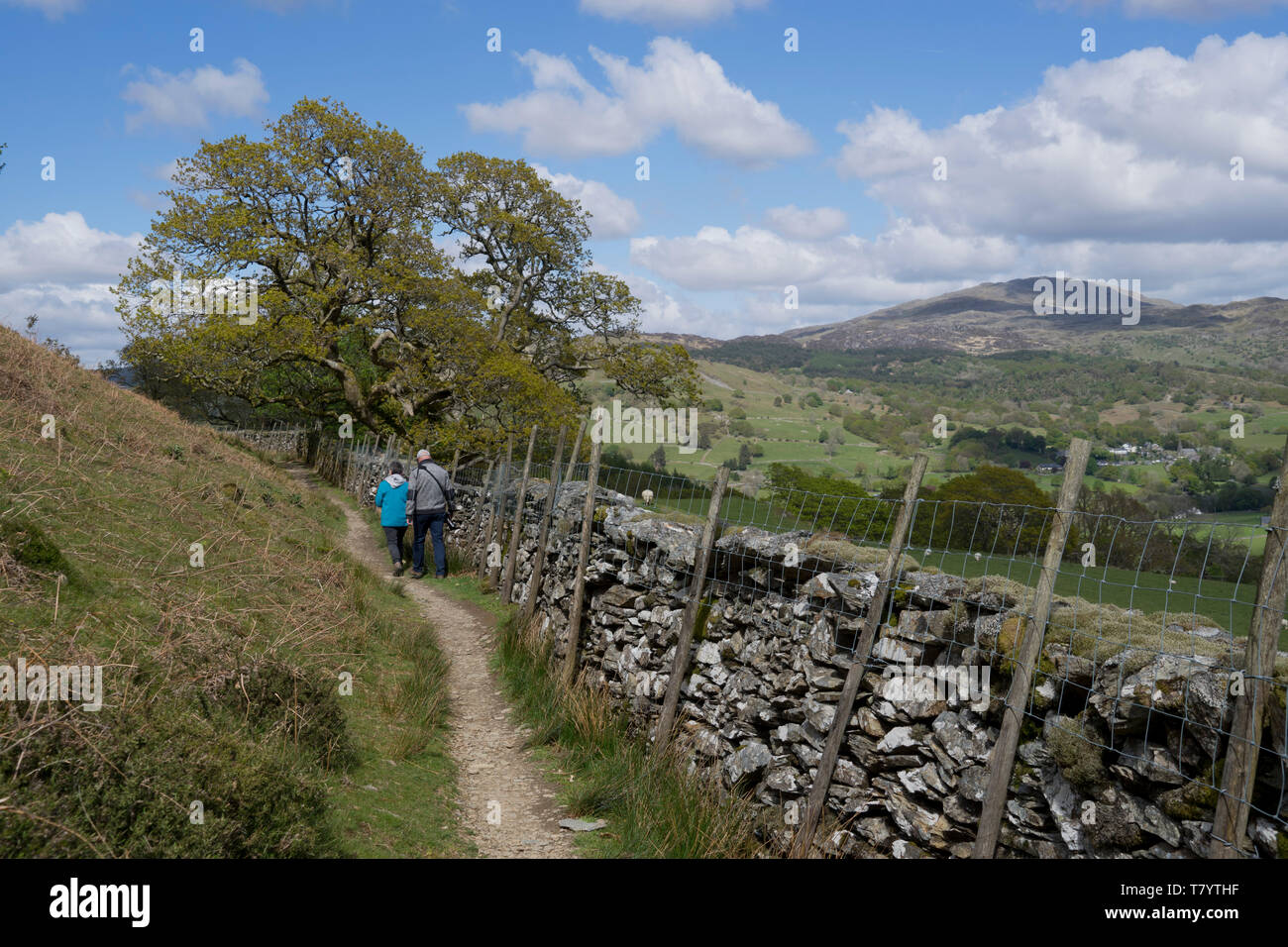 Precipice walk hi-res stock photography and images - Alamy