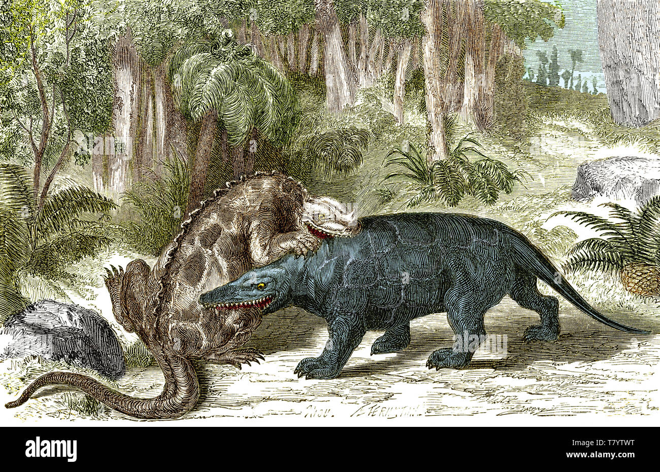 Iguanodon Biting Megalosaurus Stock Photo - Alamy