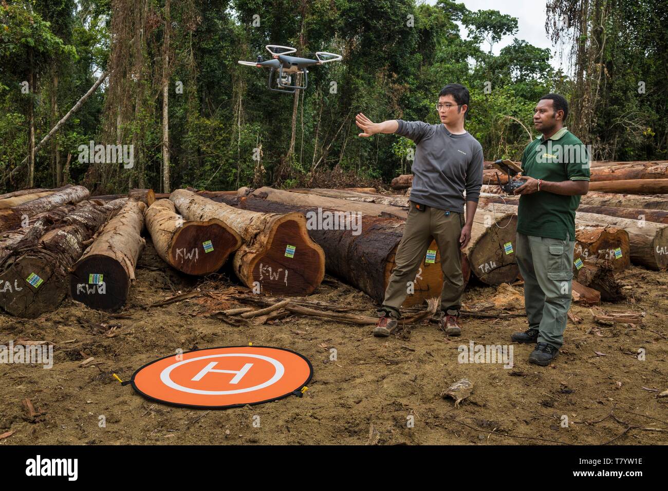 Papua-New-Guinea, Central province, Kupiano, logging area, monitoring ...