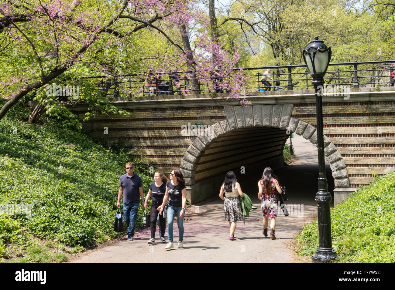 Voussoir arch bridge hi-res stock photography and images - Alamy