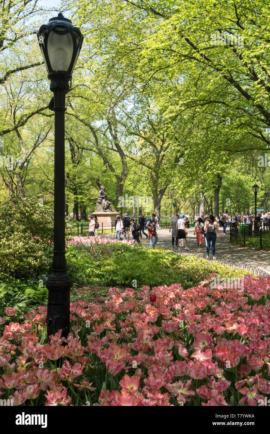 Central Park in New York City is popular in springtime, USA Stock Photo ...