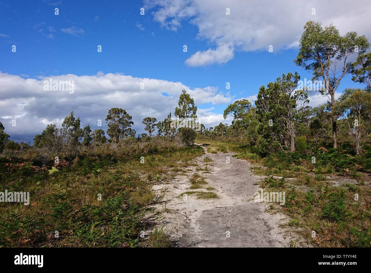 Landscape in Brunny Island in Tasmania, beautiful national reservation ...