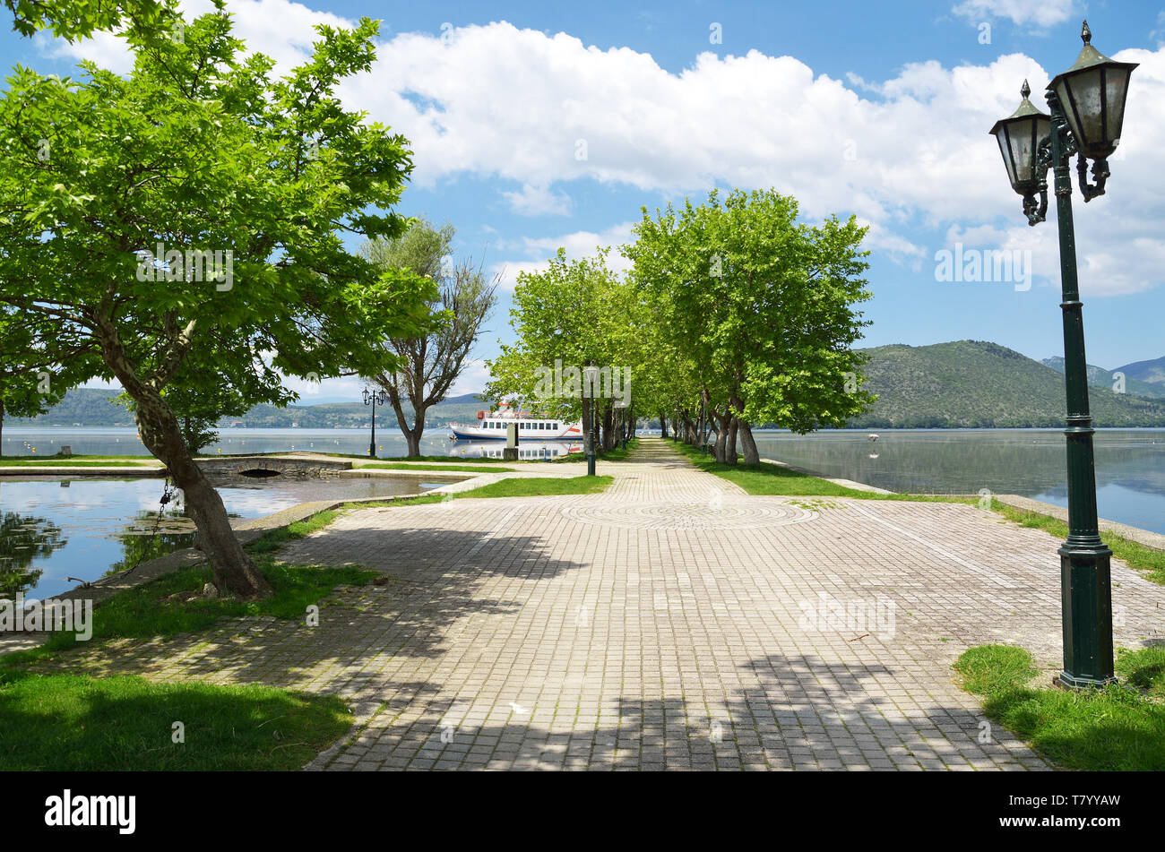 Scenery of alley with trees on the waterfront of lake Stock Photo - Alamy