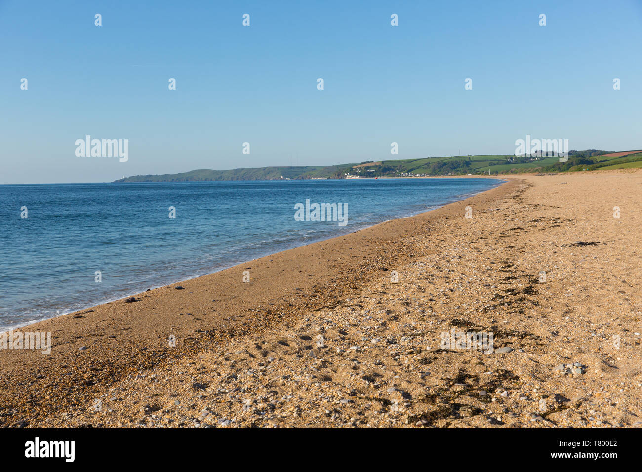 Slapton sands tiger hi-res stock photography and images - Alamy