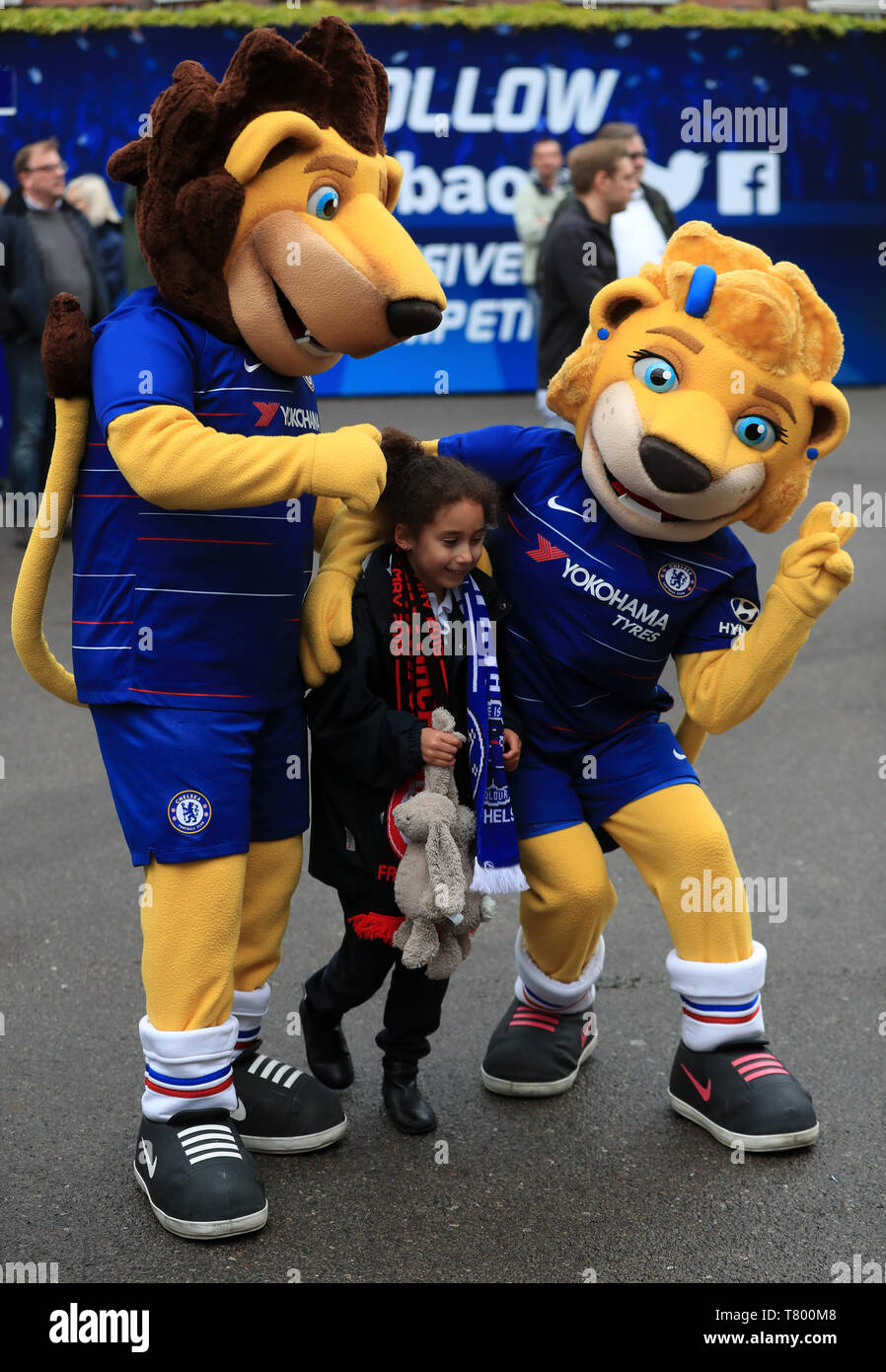 The chelsea mascots hi-res stock photography and images - Alamy