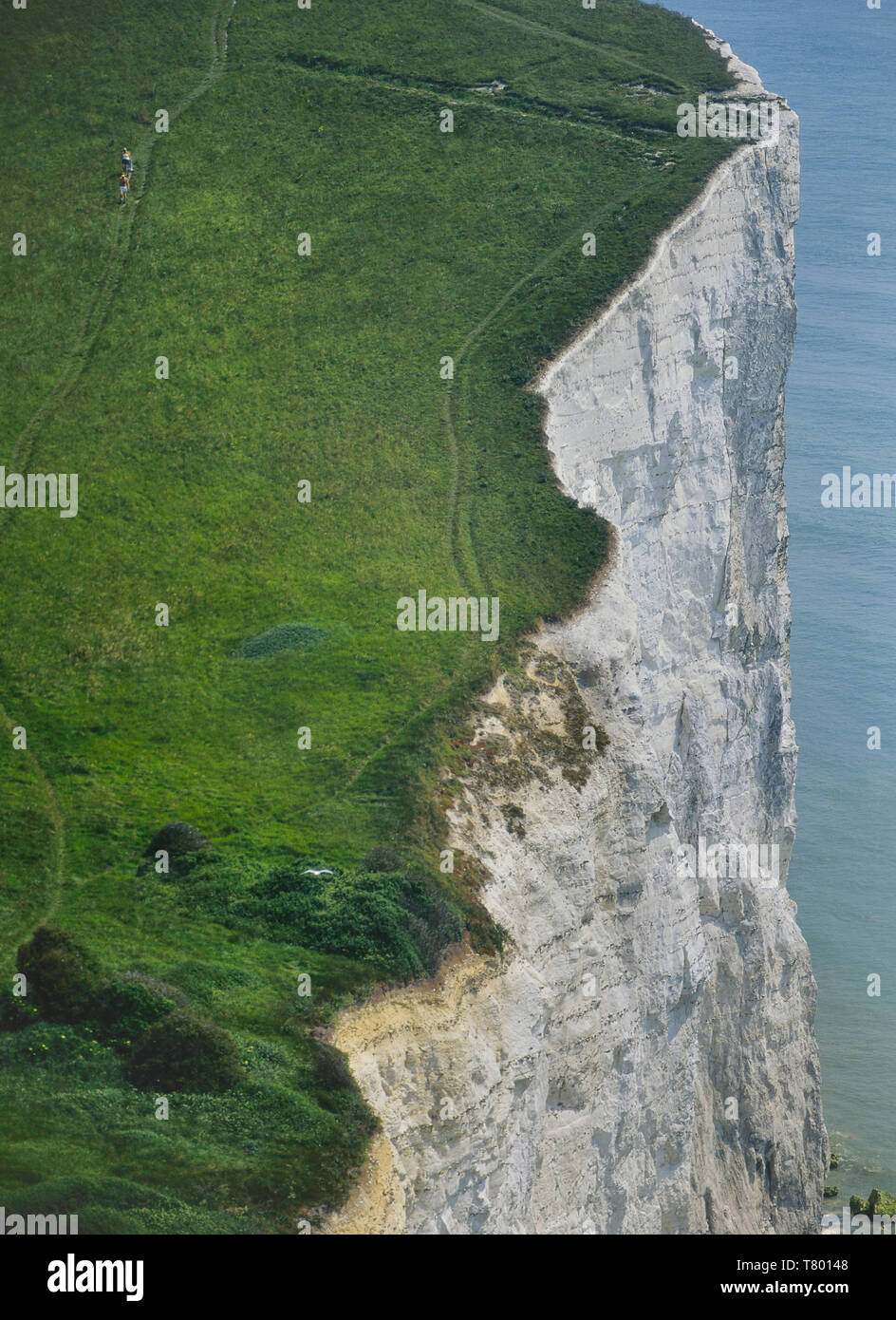 The White cliffs of Dover. Kent. England. UK Stock Photo - Alamy