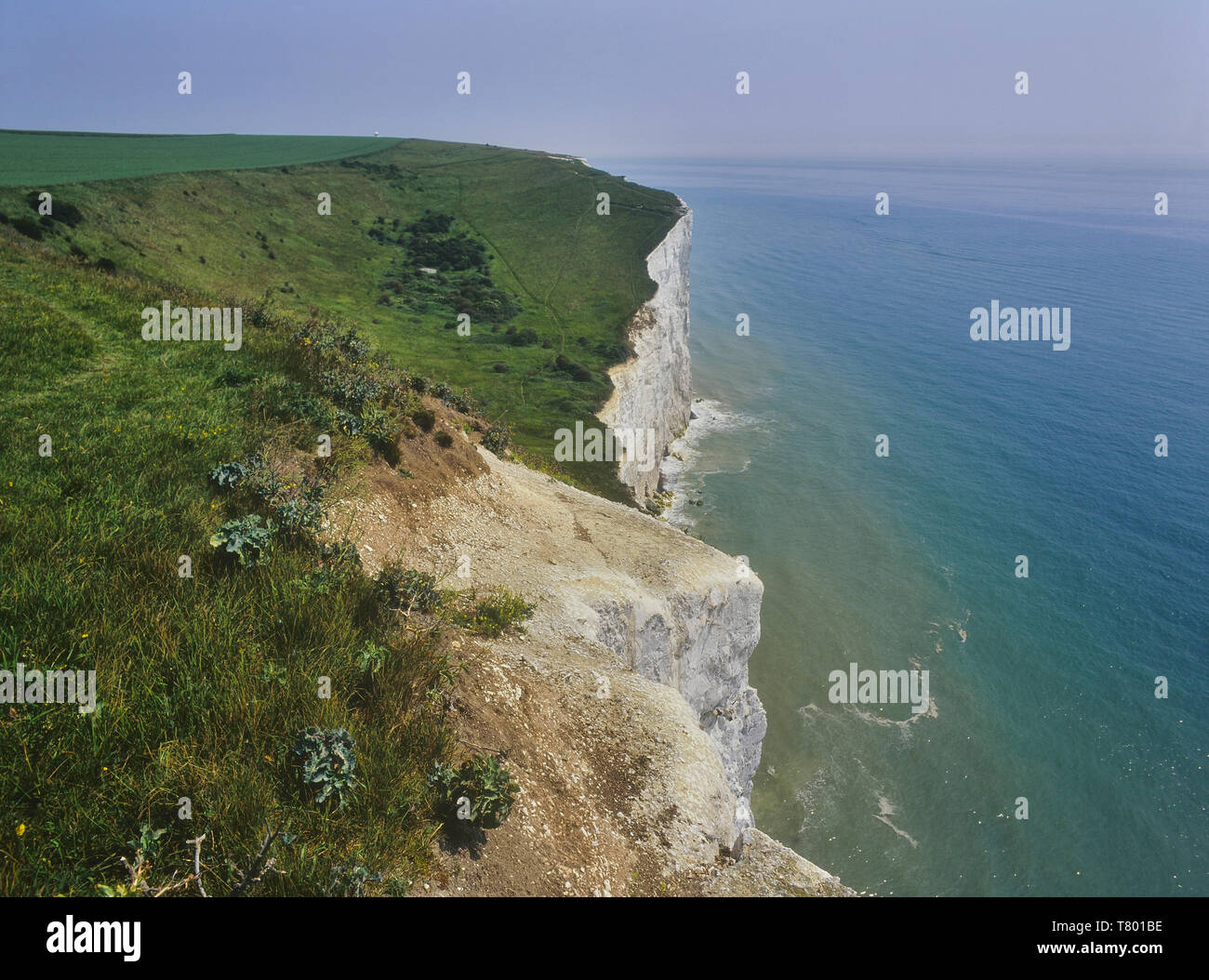 The White cliffs of Dover. Kent. England. UK Stock Photo - Alamy