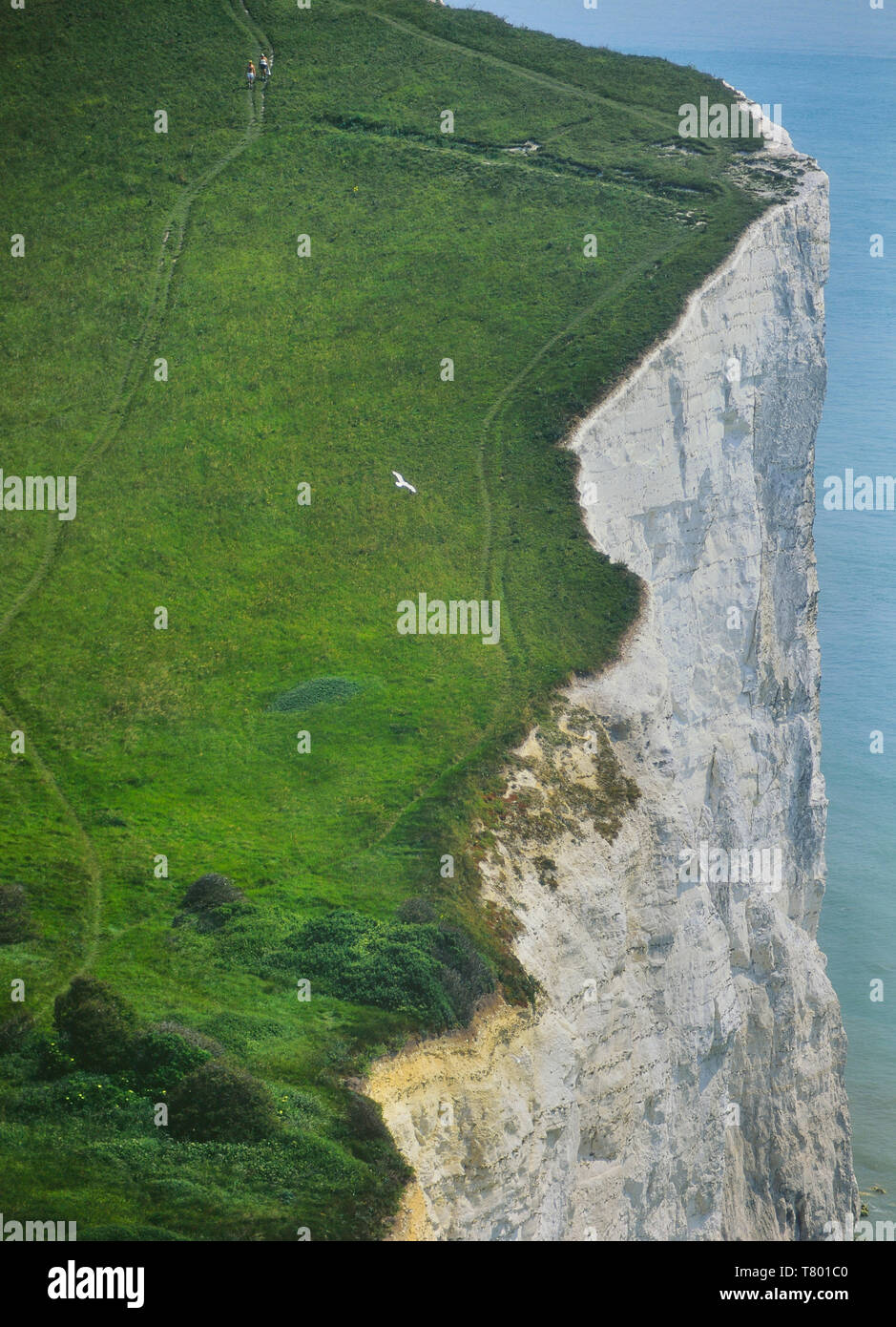 The White cliffs of Dover. Kent. England. UK Stock Photo - Alamy