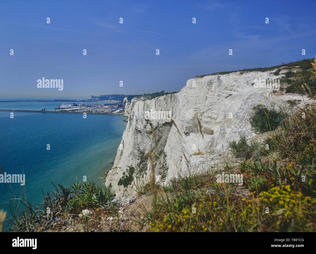 The White cliffs of Dover. Kent. England. UK Stock Photo - Alamy