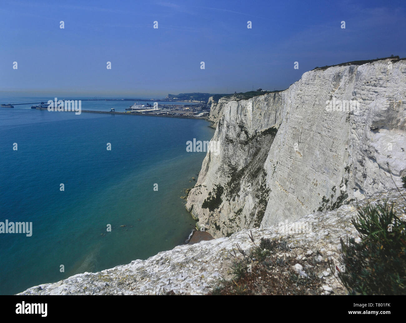 The White cliffs of Dover. Kent. England. UK Stock Photo - Alamy