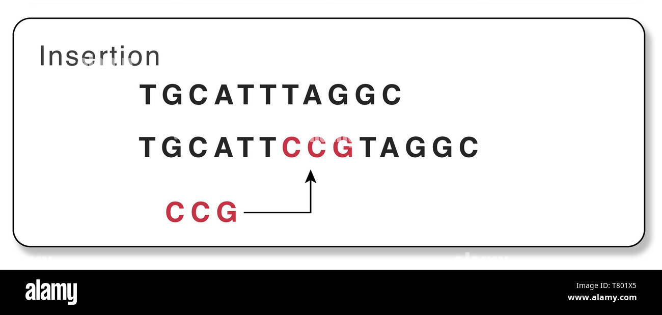 Genetic mutation hi-res stock photography and images - Alamy