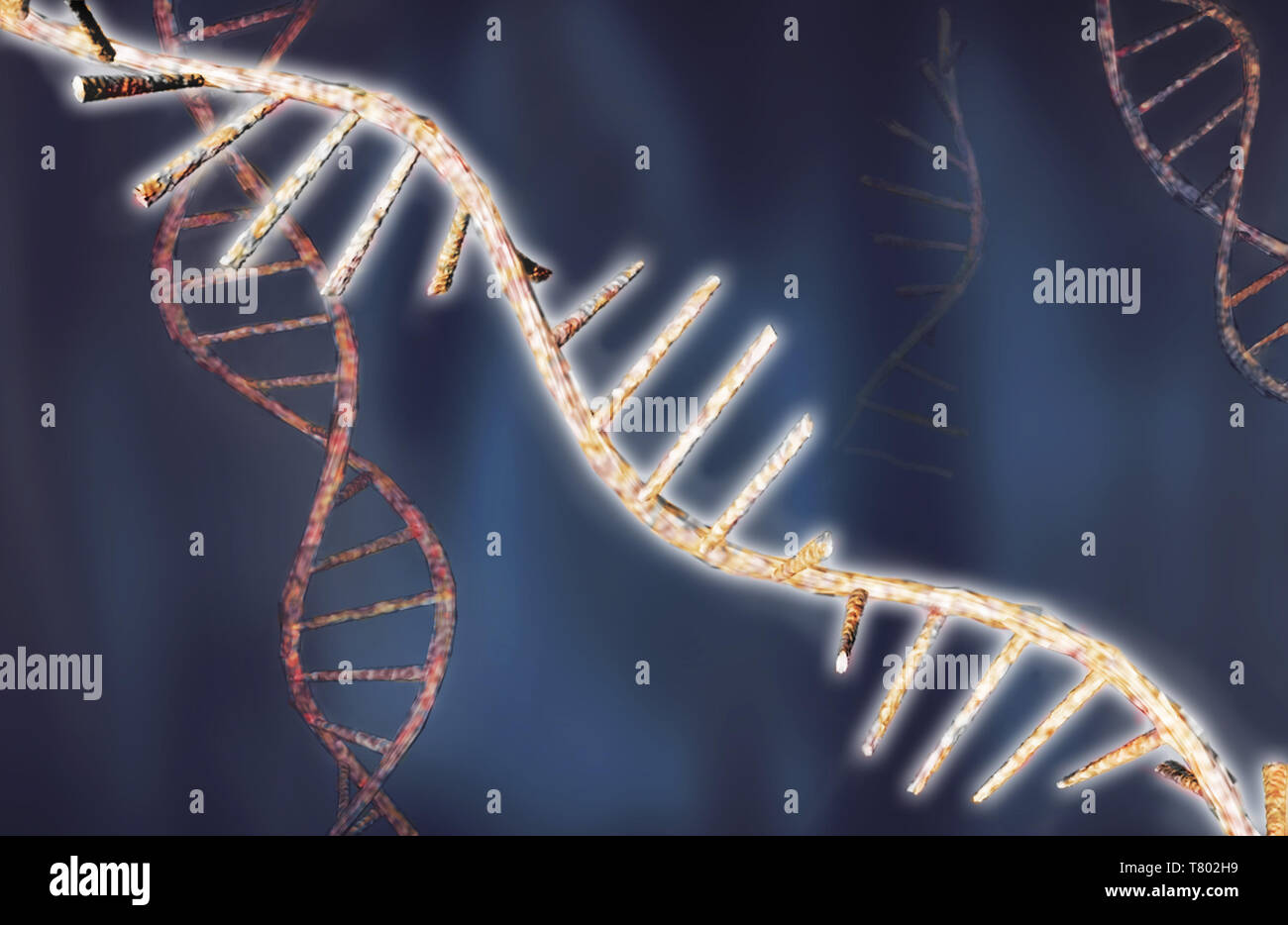 Genes strand hi-res stock photography and images - Alamy