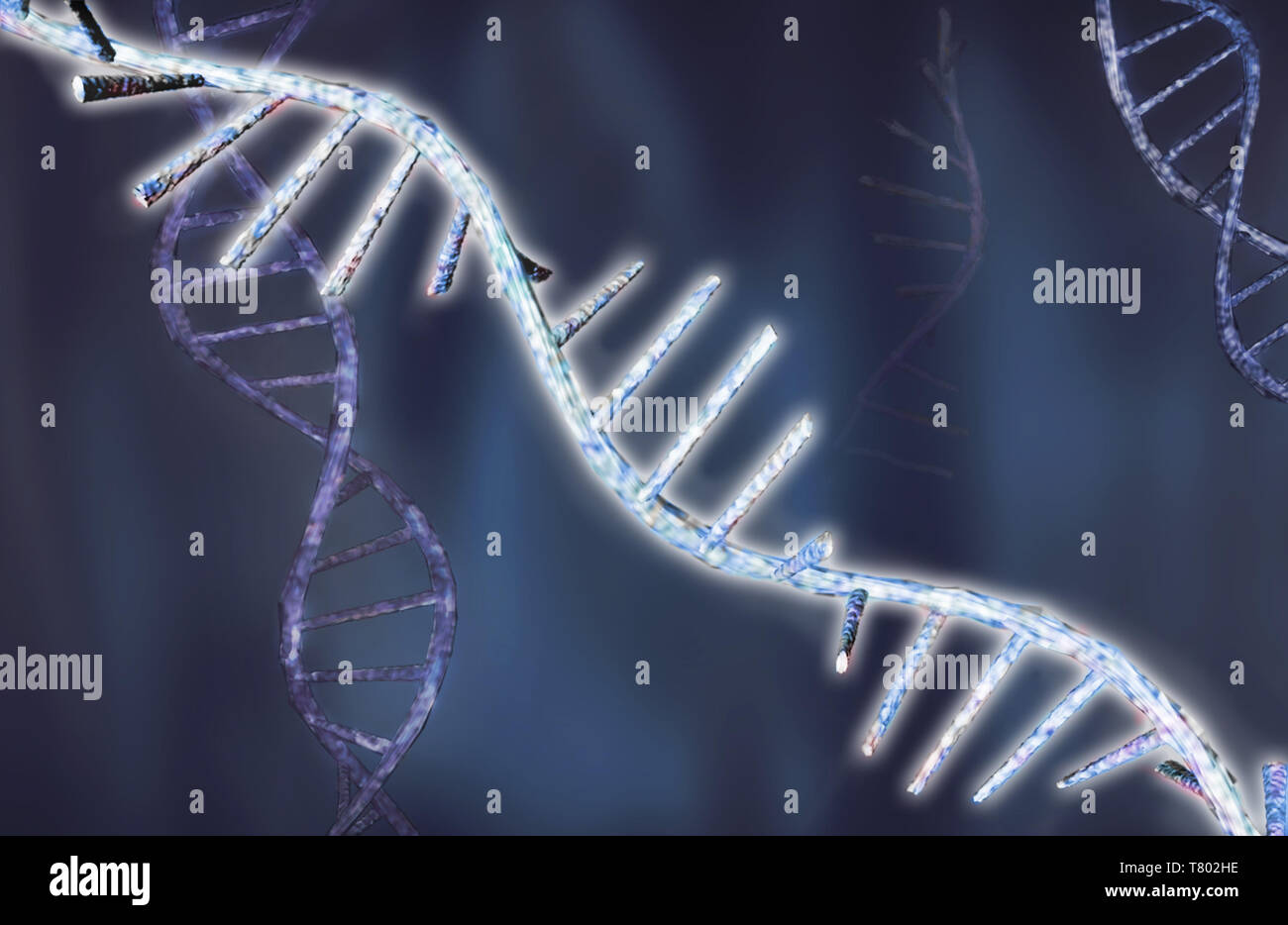Rna strand hi-res stock photography and images - Alamy