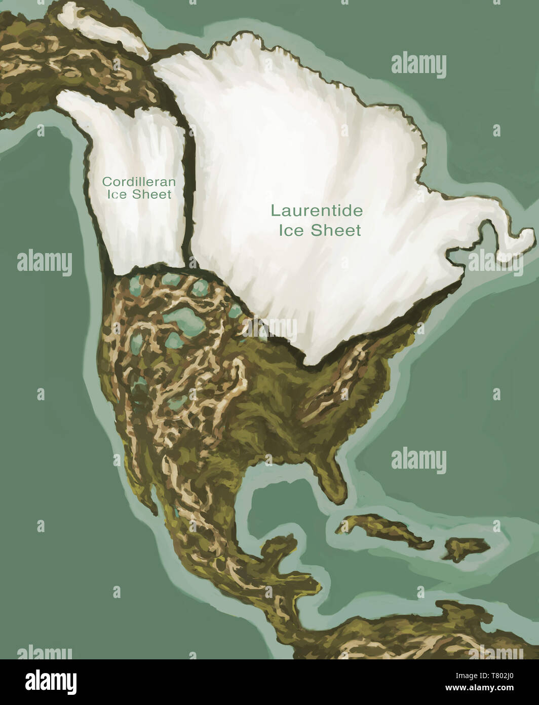 Quaternary Period Ice Age