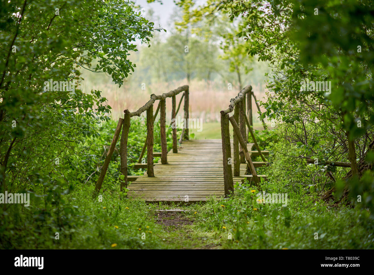 wooden footbridge over the stream Stock Photo - Alamy