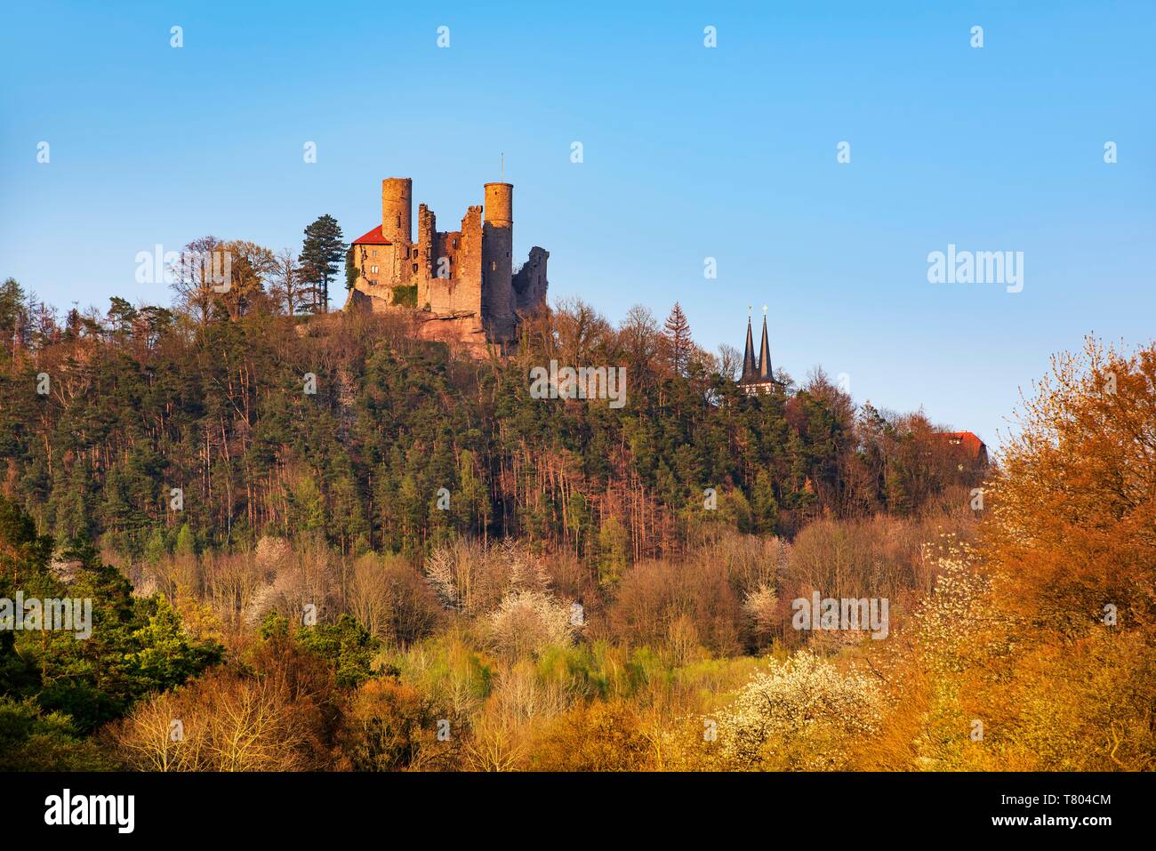 Ruin of Hanstein Castle in spring, Bornhagen, Eichsfeld, Thuringia ...