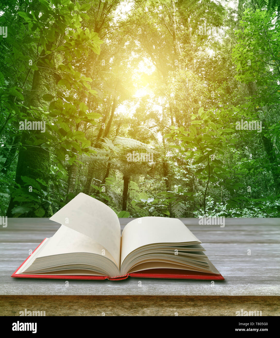 Open book on table in front of forest Stock Photo - Alamy