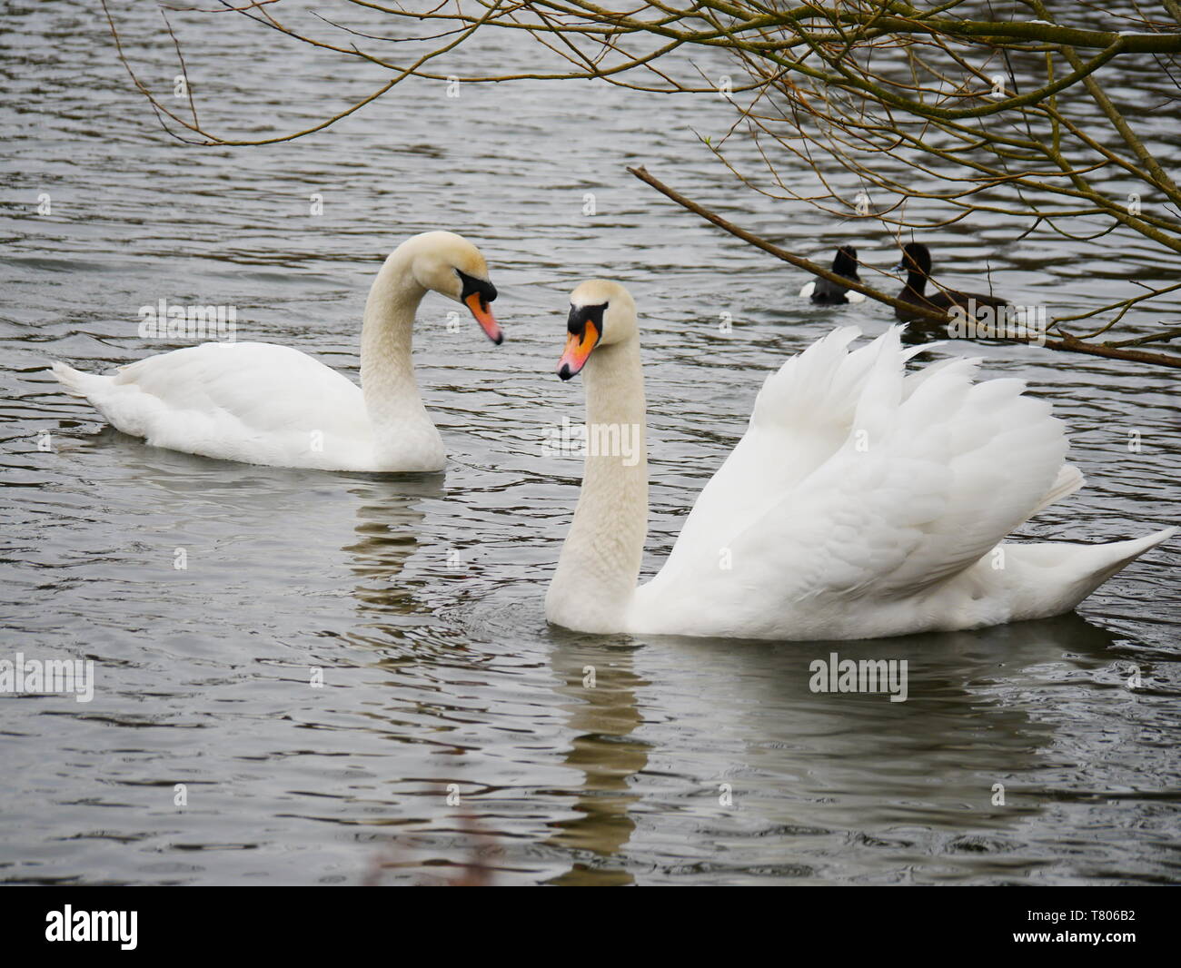 Love their families hi-res stock photography and images - Alamy
