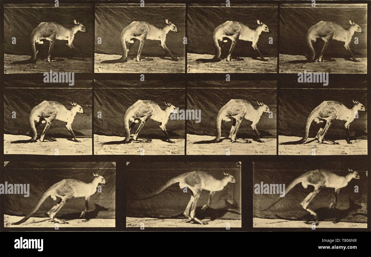 Locomotion hi-res stock photography and images - Alamy