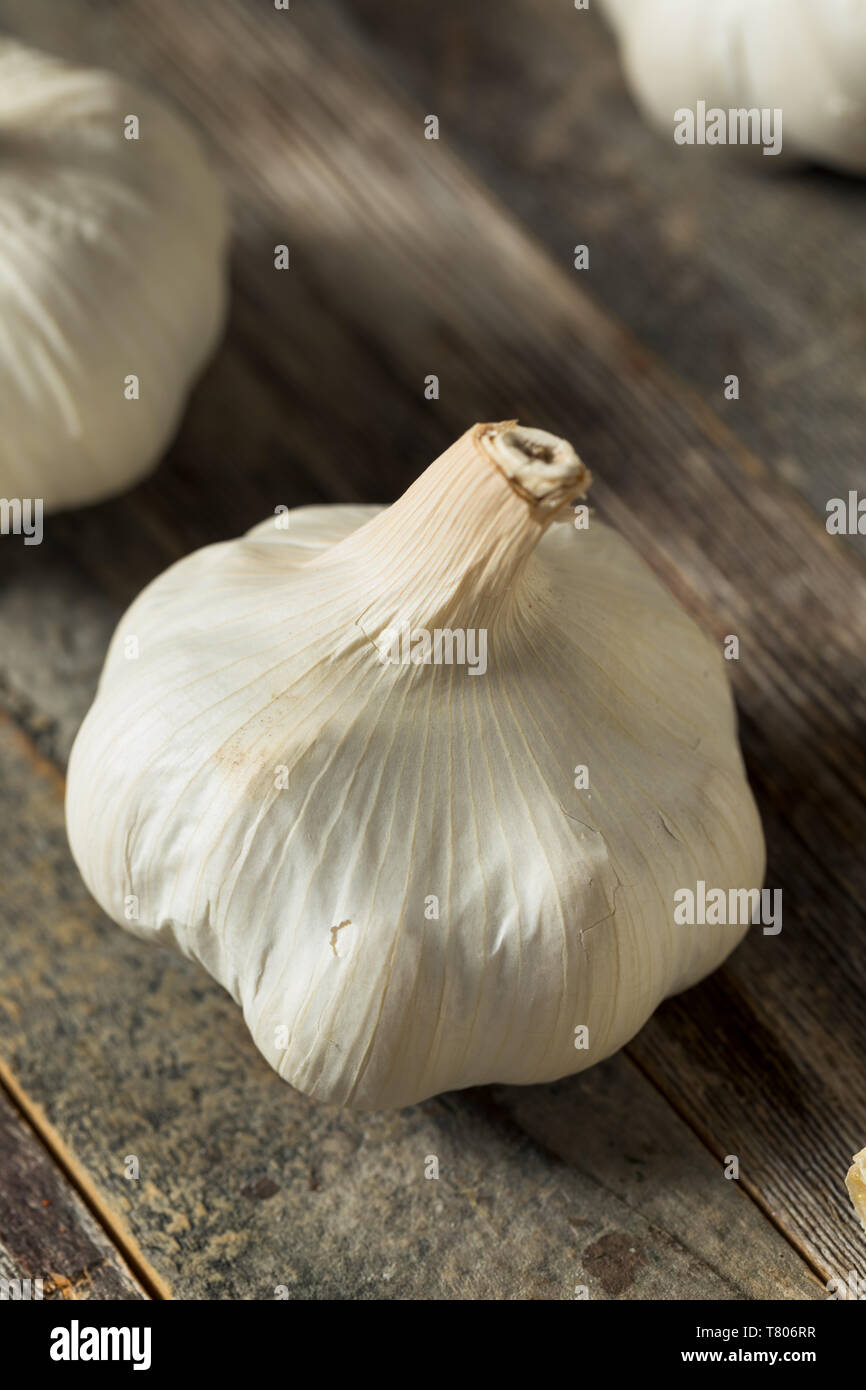 Raw Organic Garlic Bulbs Ready to Cook With Stock Photo - Alamy