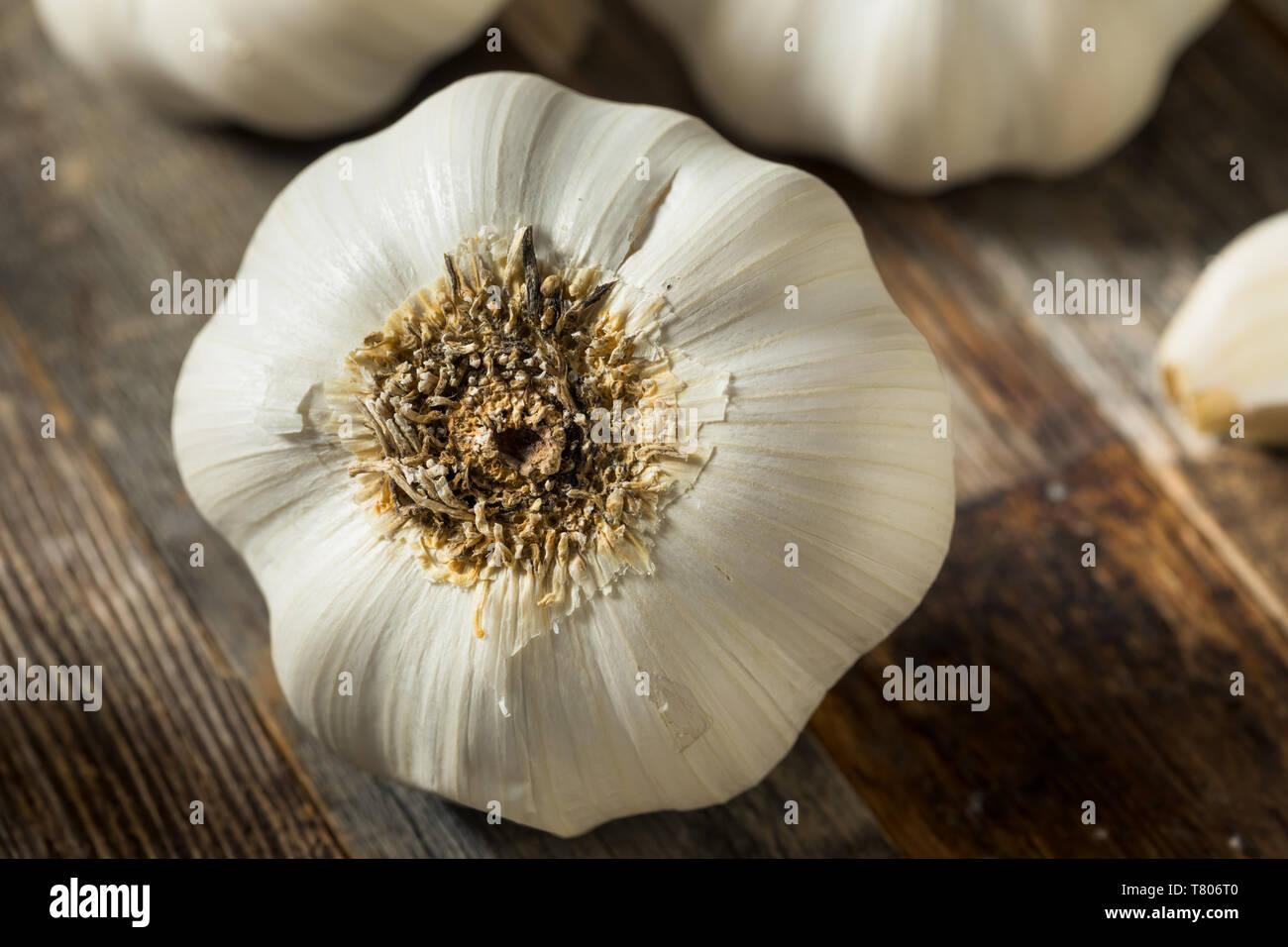 Plant garlic bulbs hi-res stock photography and images - Alamy
