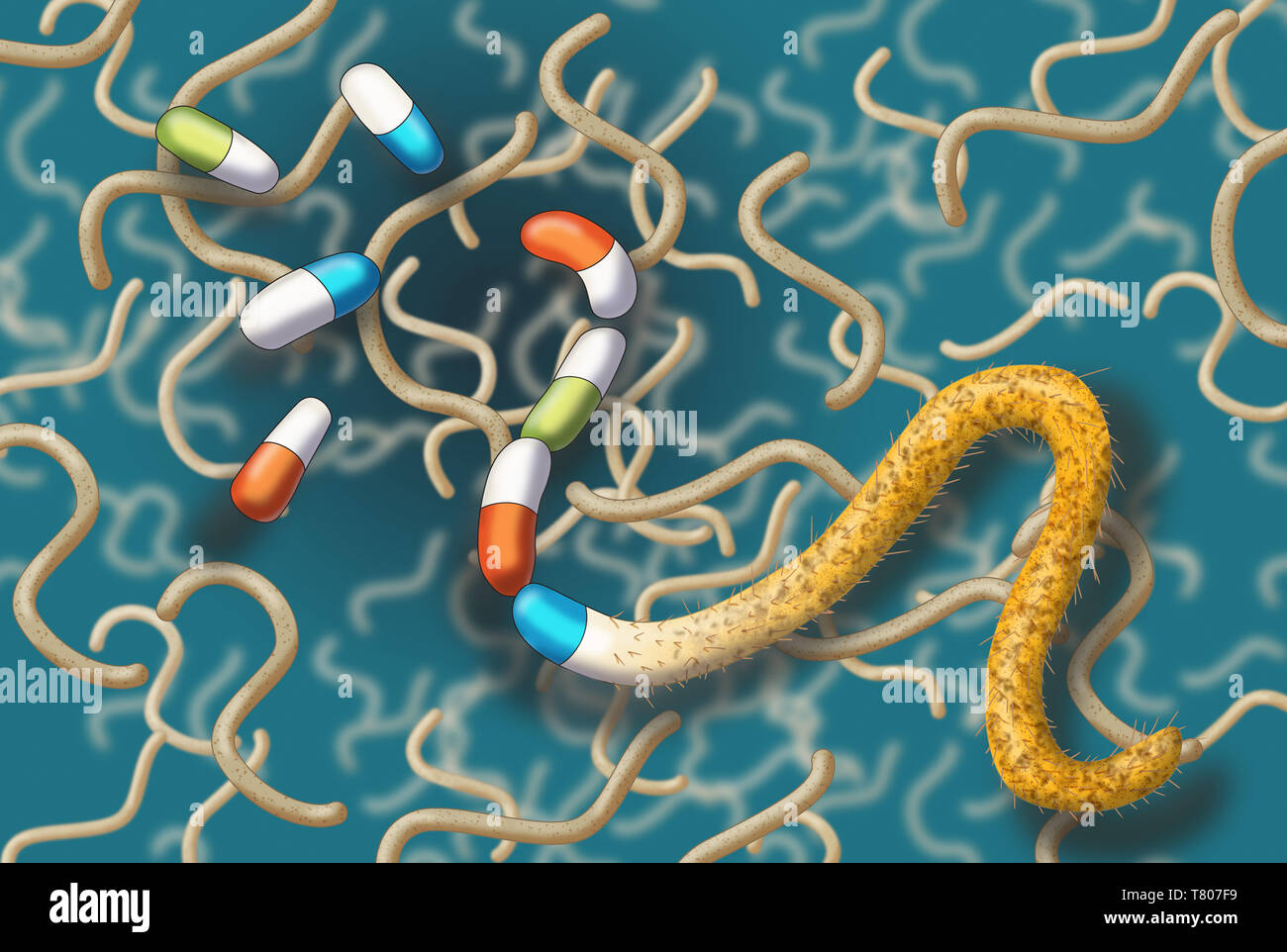 Anti bacteria hi-res stock photography and images - Alamy