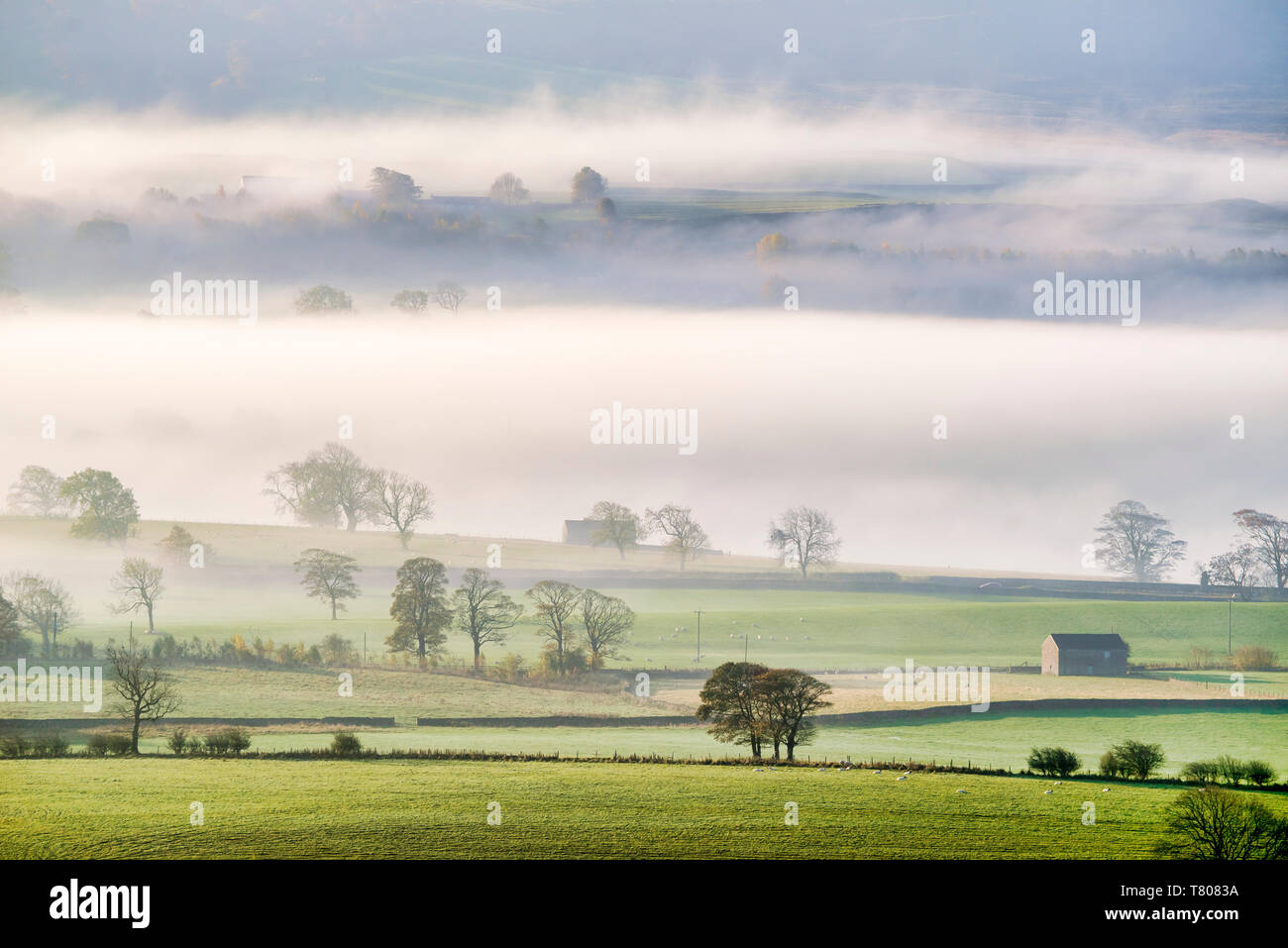 Mist rising over East Halton and Embsay in Lower Wharfedale, North ...