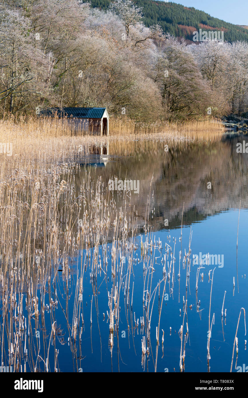 Loch Ard partially frozen over and a hoar frost around Aberfoyle in the ...