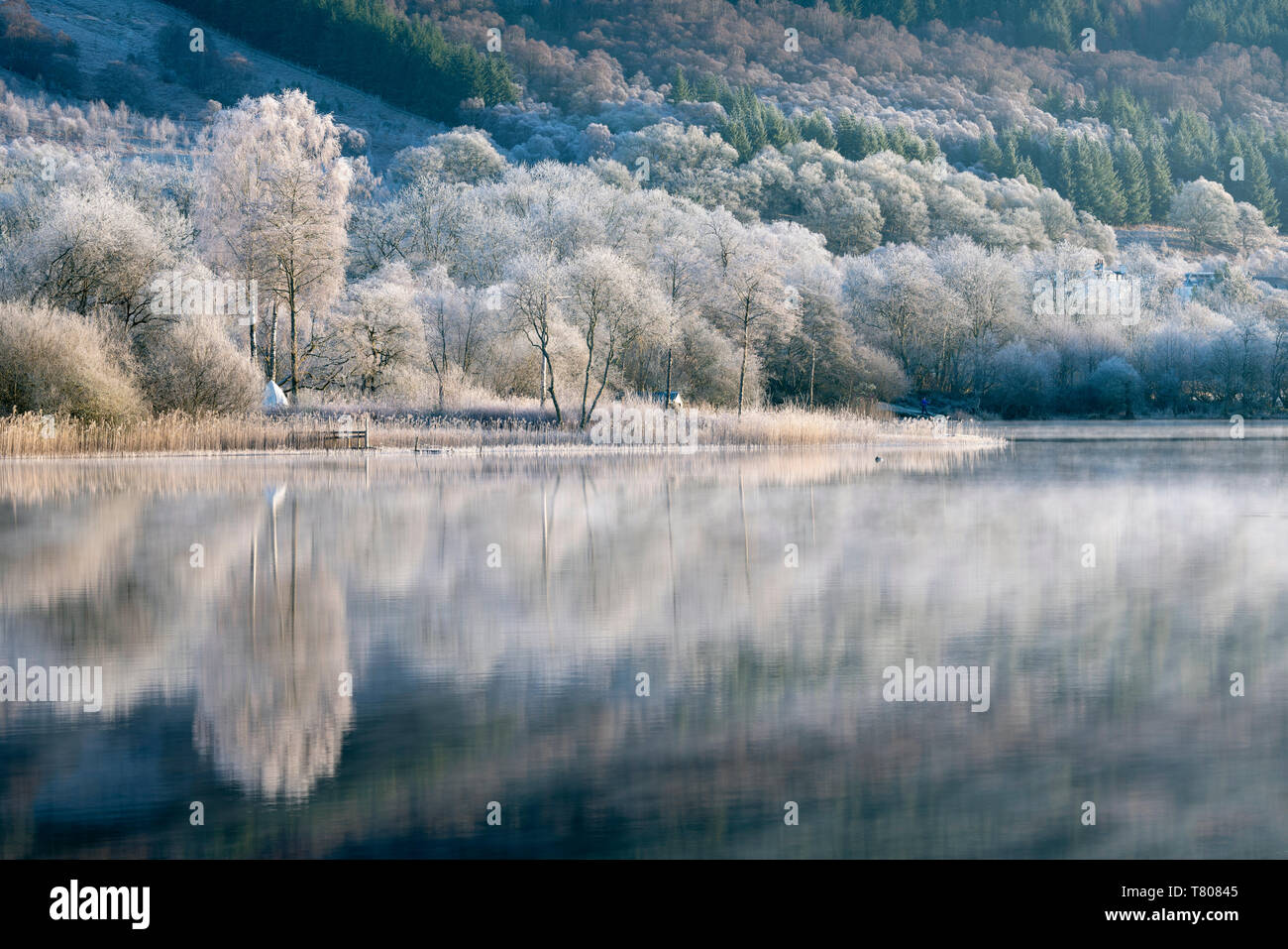 Stirling and district hi-res stock photography and images - Alamy