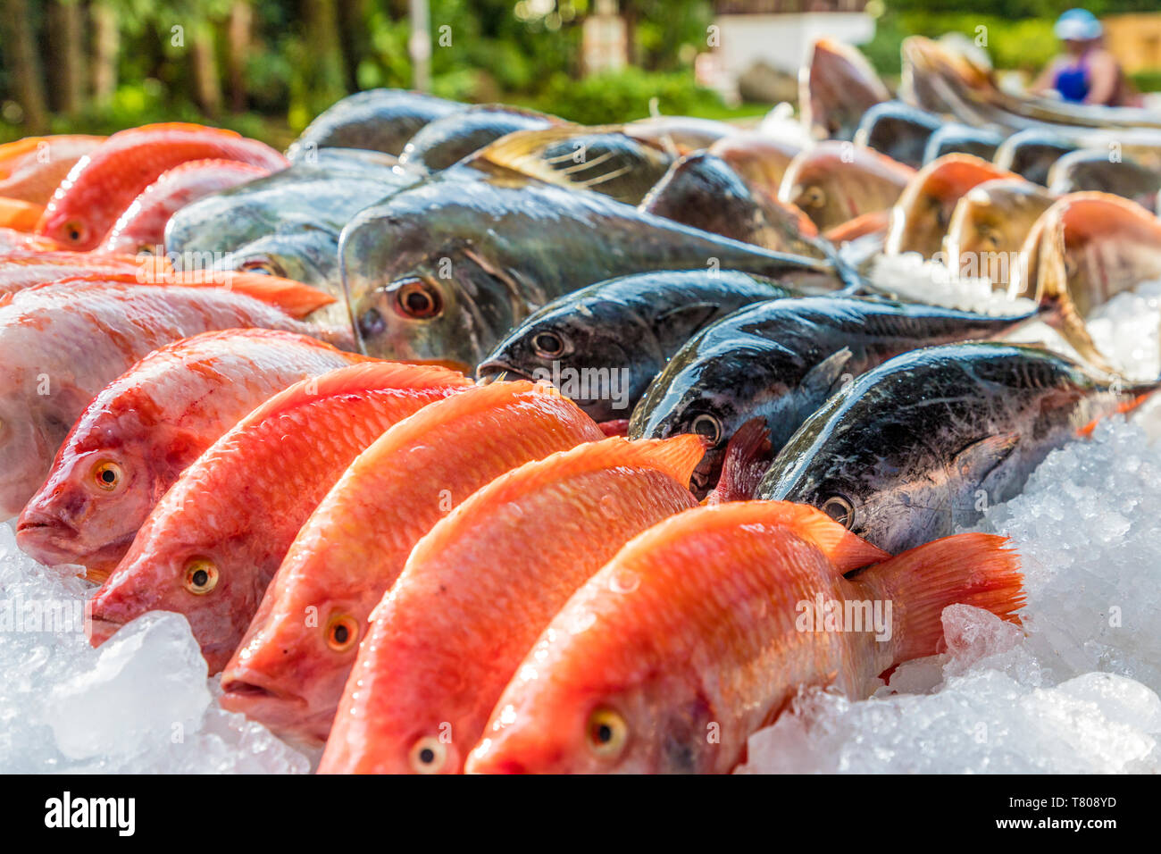 Fresh fish ready to barbecue in Kata, Phuket, Thailand, Southeast Asia ...