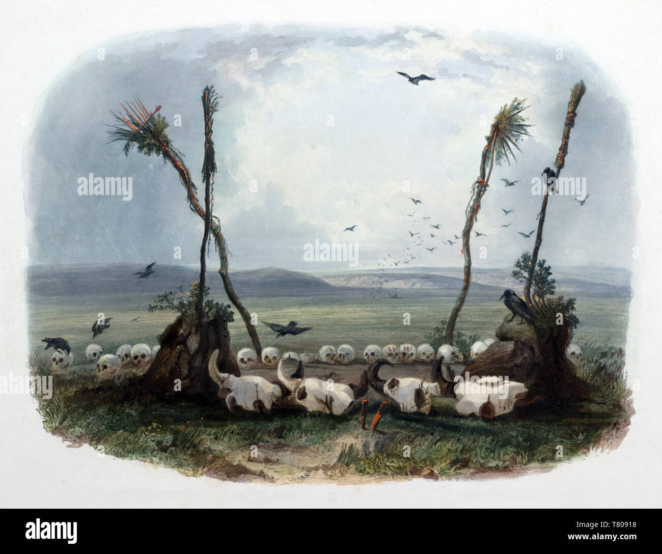 Native American Mandan Indian Offering, Bison Hunt Stock Photo - Alamy