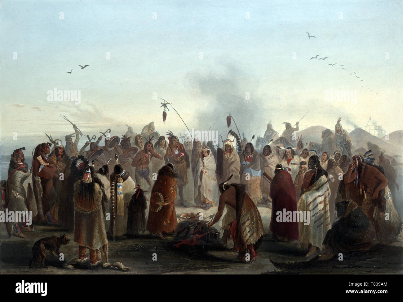 Bodmer hidatsa hi-res stock photography and images - Alamy