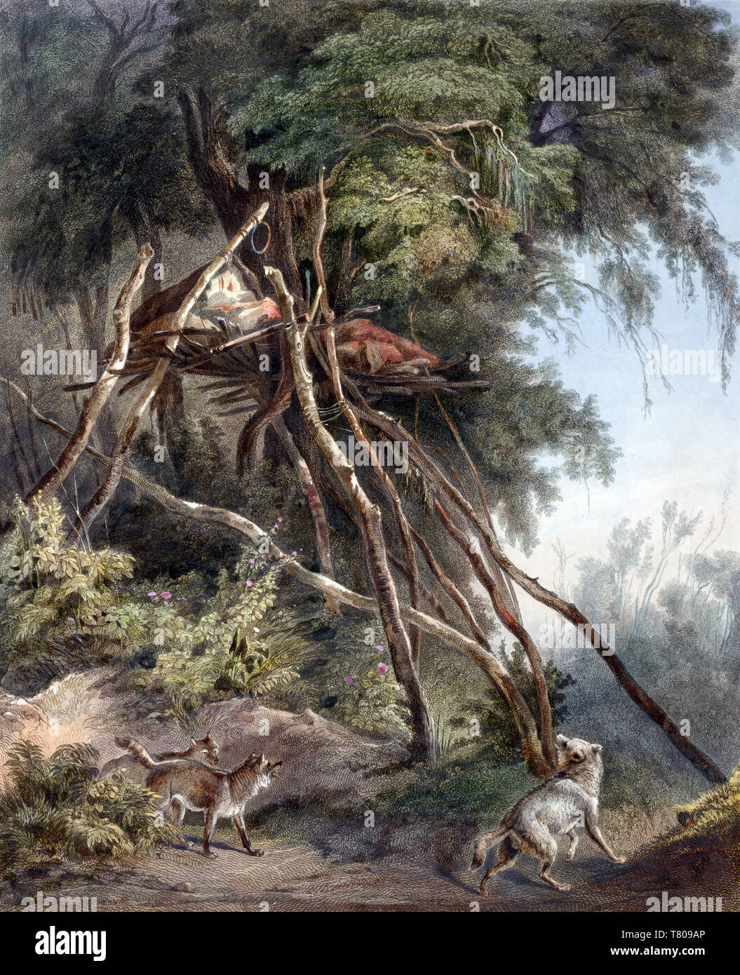 Lakota Mourning Rituals