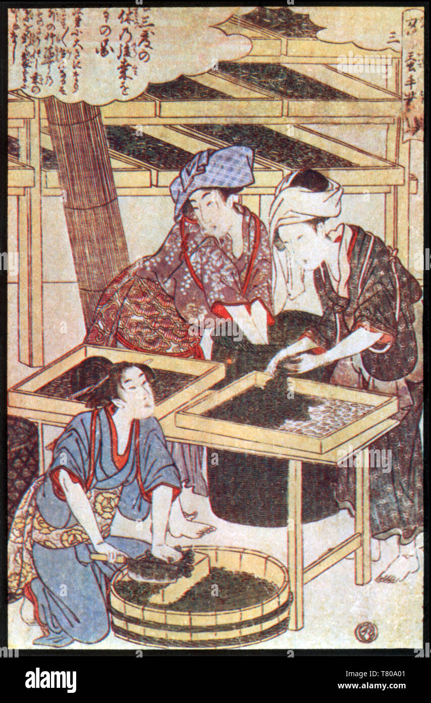 Feeding Silkworm Cocoons, Silk Making in Japan Stock Photo - Alamy