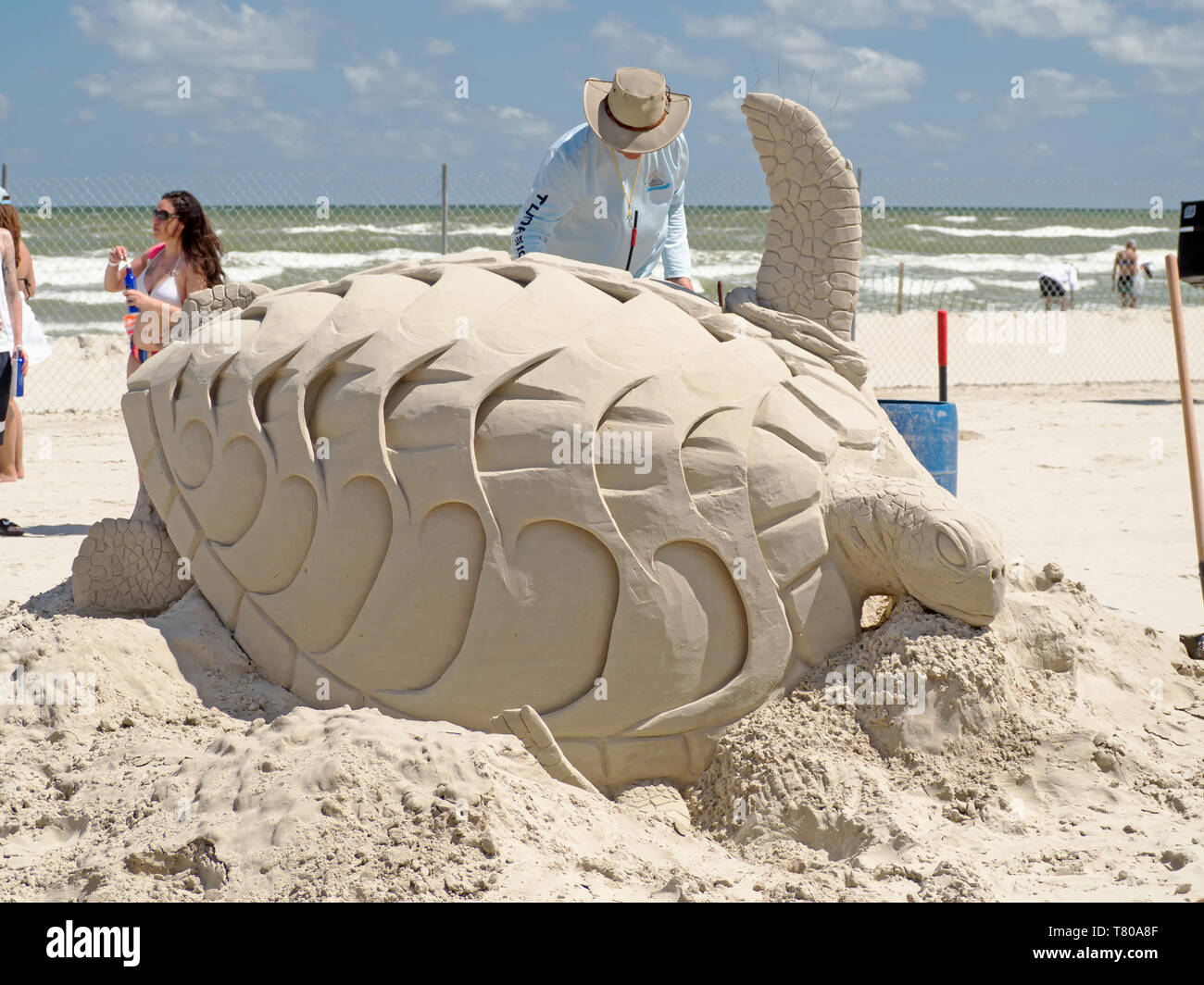 Sea turtle sculpture hi-res stock photography and images - Alamy