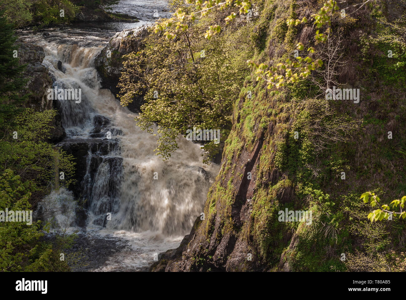 The Reekie Linn waterfall on the River Isla, Perthshire, Scotland, in ...