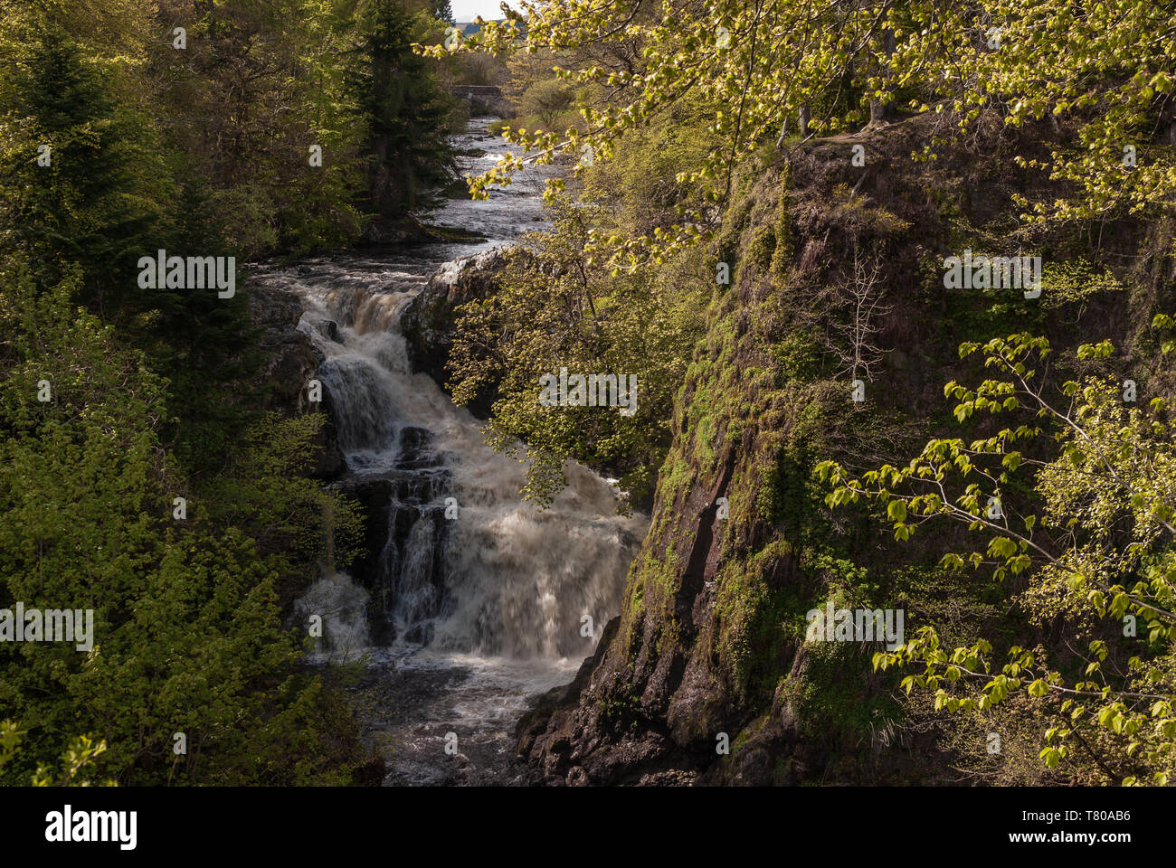 The Reekie Linn waterfall on the River Isla, Perthshire, Scotland, in ...