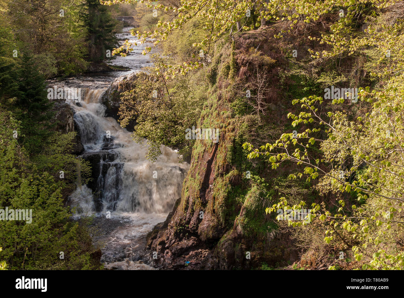 The Reekie Linn waterfall on the River Isla, Perthshire, Scotland, in ...