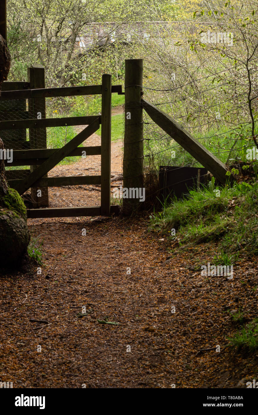 Woodland gate and fence hi-res stock photography and images - Alamy