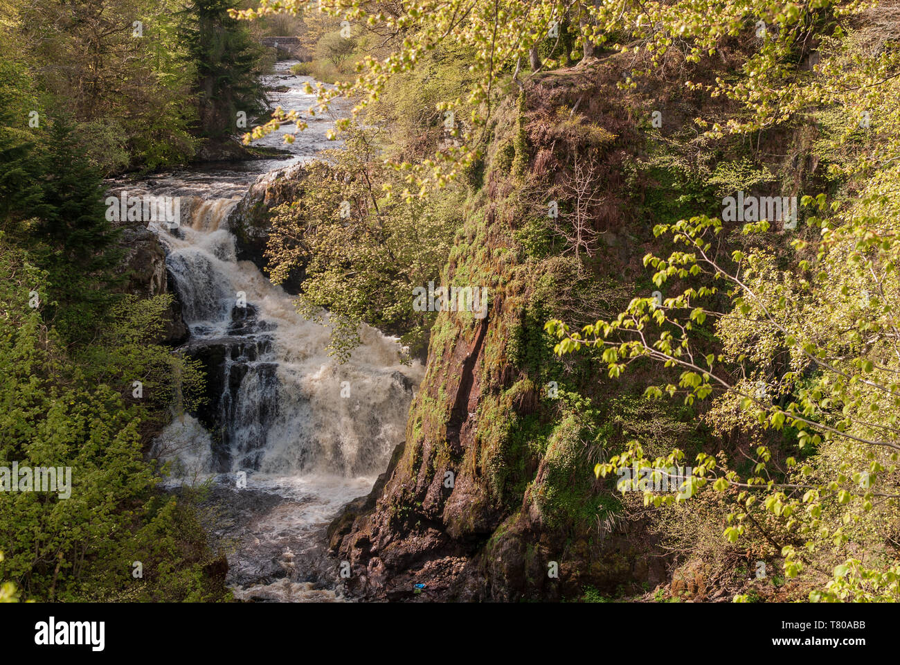 The Reekie Linn waterfall on the River Isla, Perthshire, Scotland, in ...