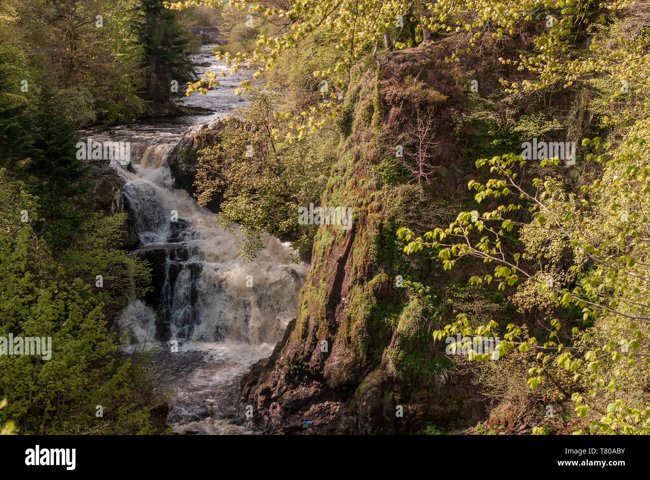 The Reekie Linn waterfall on the River Isla, Perthshire, Scotland, in ...