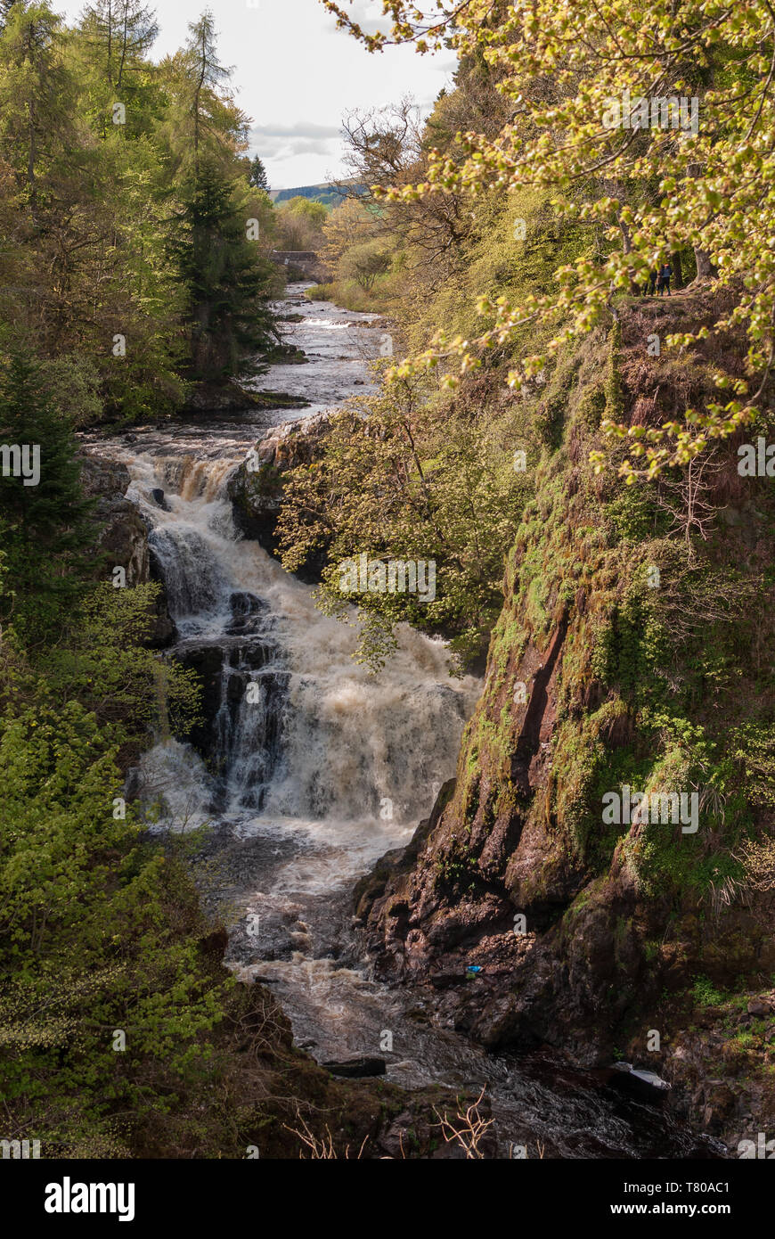 Perthshire scotland waterfall hi-res stock photography and images - Alamy