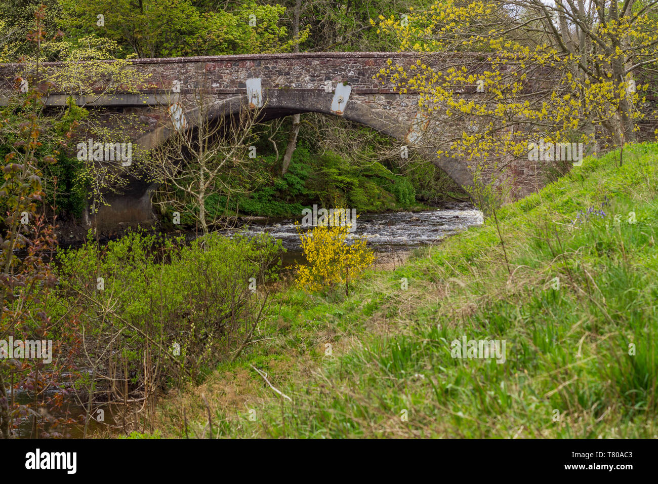 Scottish landscape with farm and river hi-res stock photography and ...