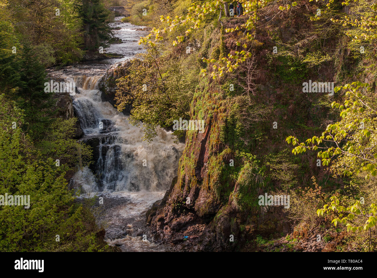 The Reekie Linn waterfall on the River Isla, Perthshire, Scotland, in ...